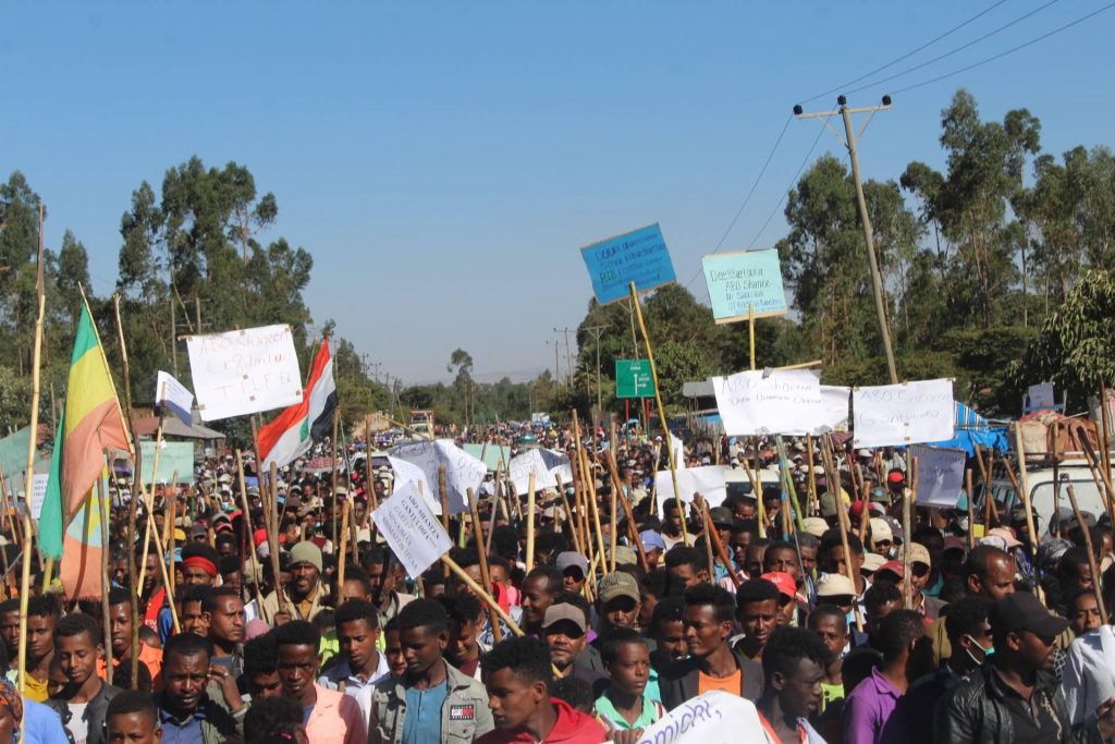 Jiraattoonni magaalaa Darbaa ABO Shanee balaaleffatan – Welcome to Fana ...