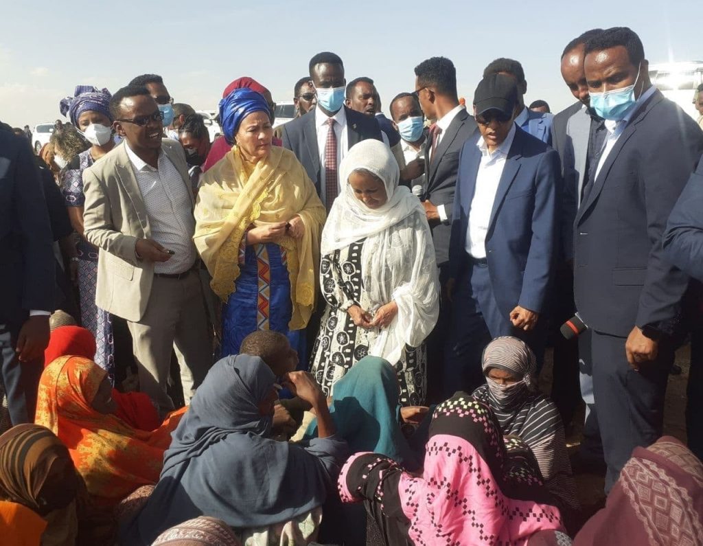 Preezdaant Saahilawarq Zawdee fi Ittaantuun Barreessaa DhMG Amiinaa ...