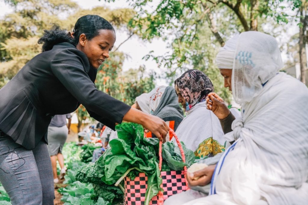 Waajjirri Muummee Ministiraa kutaalee hawaasa harka qalleeyyiif maaddii ...