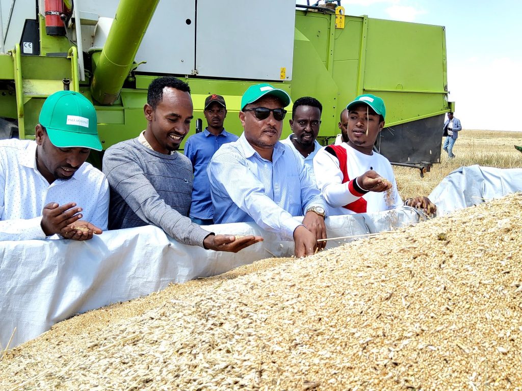 Jilli Obbo Geetuu Gammachuun durfamu aanaa Cinaaqsanitti sassaabbii ...