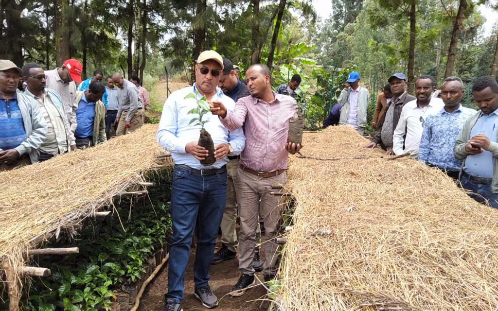 Oromiyaatti biqiltuun Bunaa biiliyoonni 1.45 qophaa’eera-BQO – Welcome ...