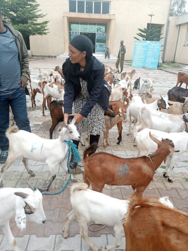 Faawundeeshiniin Haacaaluu jiraattoota Naannoo Somaalee irraa Shiraan ...