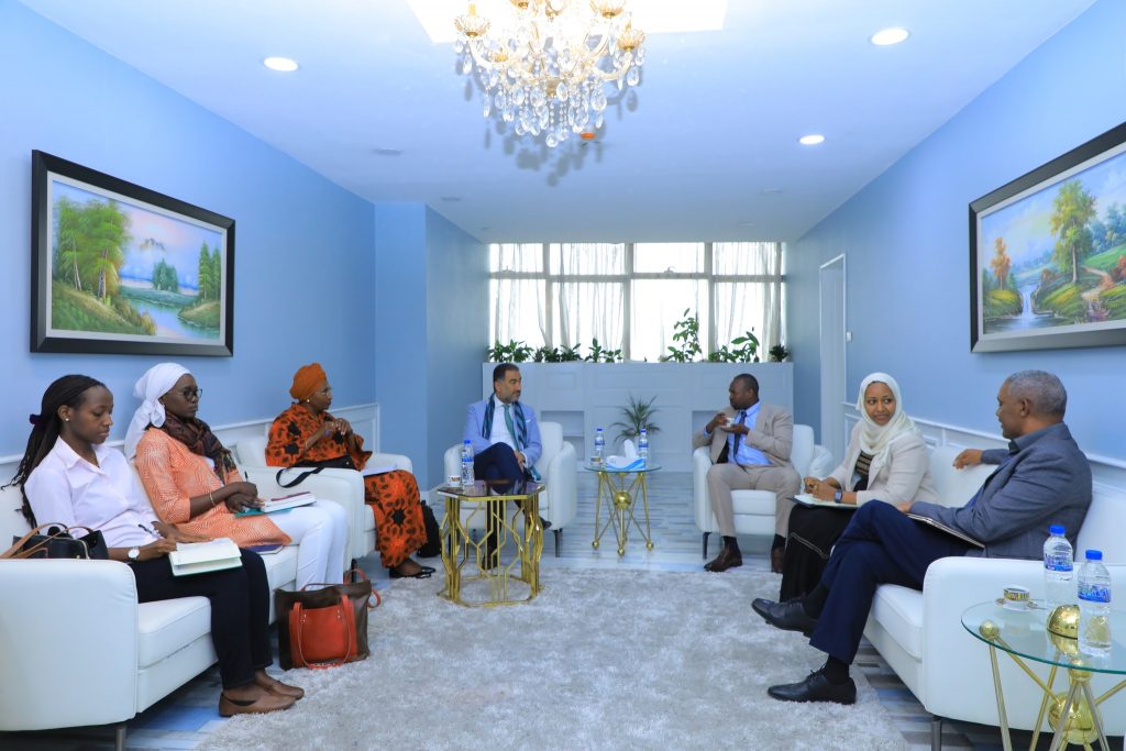 Diinagdee diijitaalaa teeknooloojiin utubuun badhaadhina Afrikaa ...