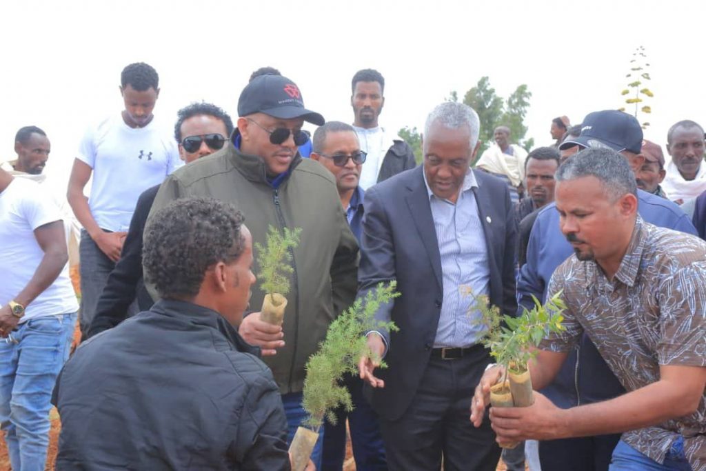 Naannoo Tigraayitti sagantaan dhaabbii biqiltuu aduu tokkotti biqiltuu ...