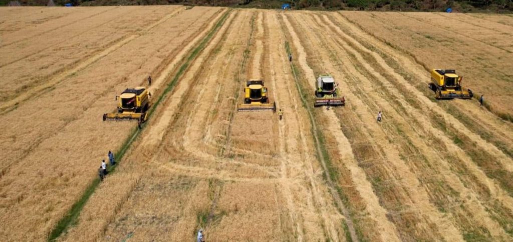 Magaaloonni Giddu-gala Gurgurtaa qofa Osoo hin taane Giddu gala ...