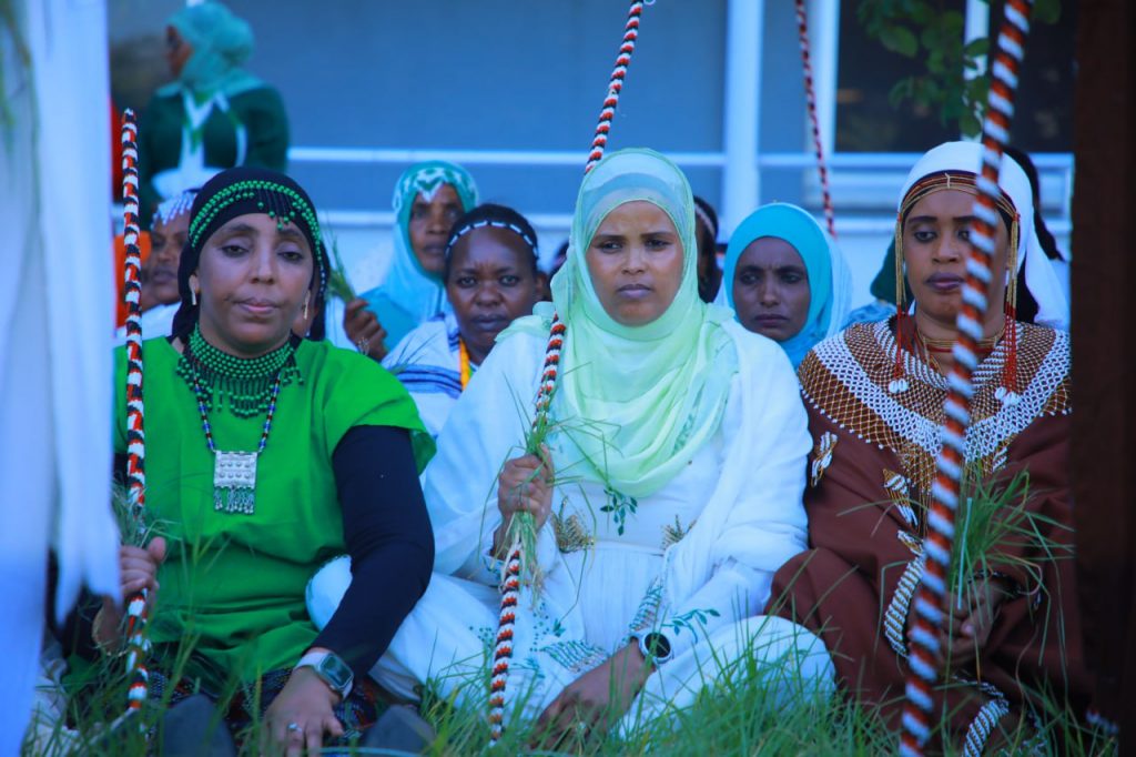 Dubartoonni miseensa Mana marichaa fi Caffee Oromiyaa waamicha nageenya ...