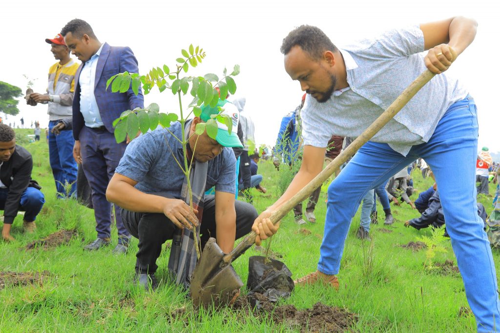 Magaalaa Shaggaritti biqiltuu miiliyoona 14 dhaabuuf karoorfamuun ...