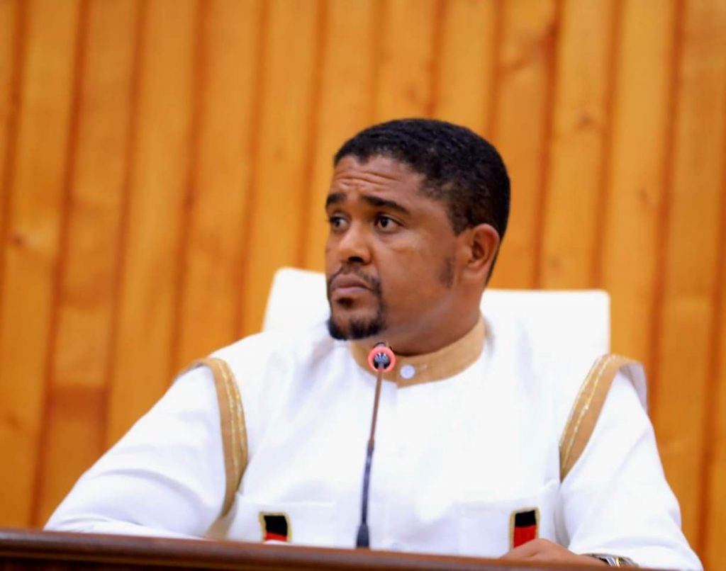 Uummatni rakkinaafi gadadoo adda addaa keessummeessaa turus qabsaa’ee ...