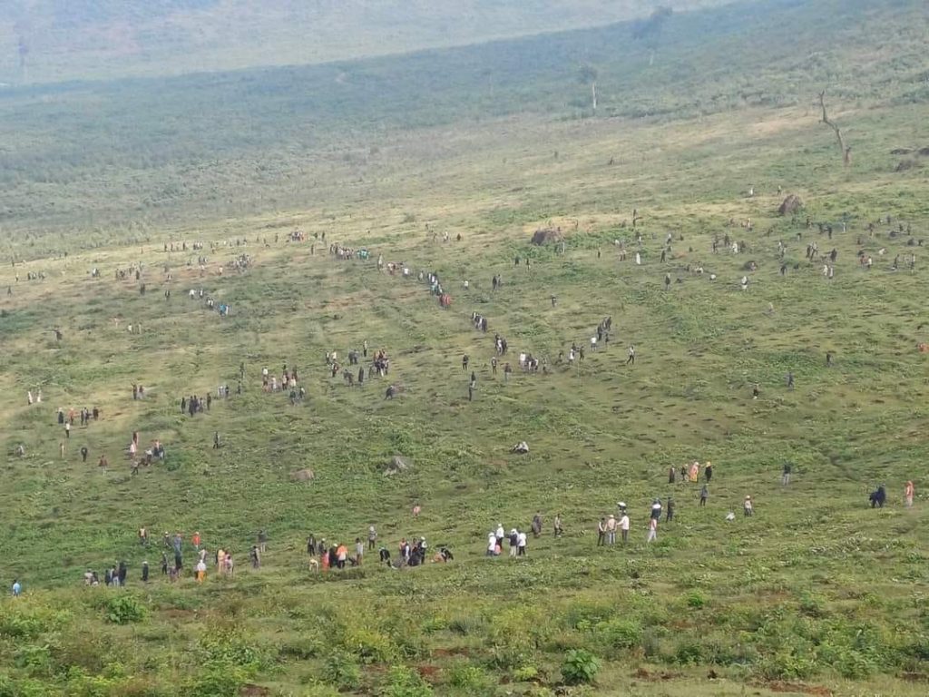 Godina Arsii Lixaatti duulli dhaabbii Biqiltuu guyyaa tokkoo ...