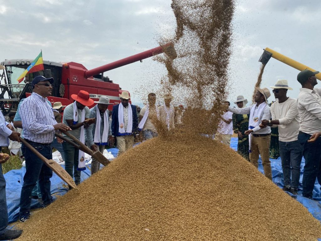 Ruuzii biyya alaarraa galu kan biyya keessan bakka buusuuf hojjetamaa ...