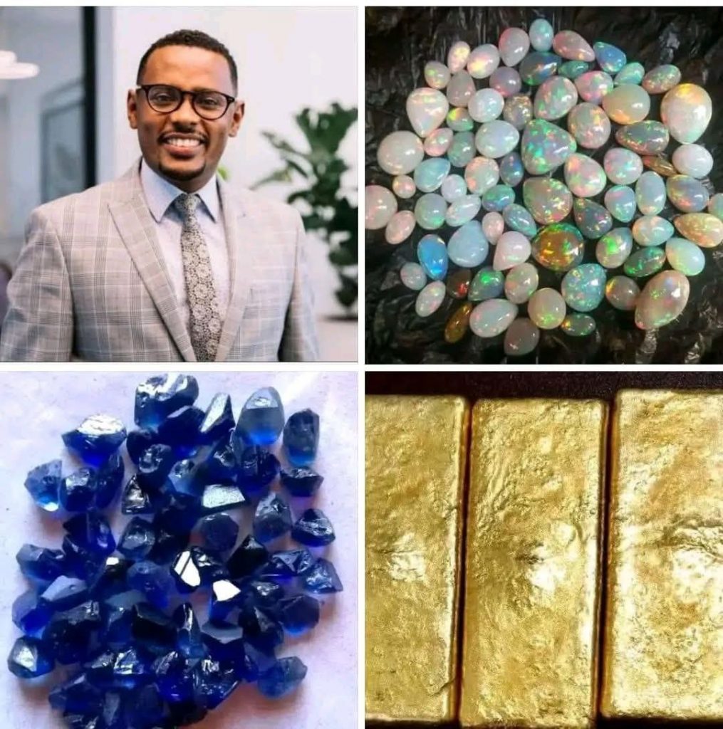 Bara kana hanga ammaatti Albuuda gara Alaatti ergamerraa galiin Doolaarri miiliyoonni 300 fi ...