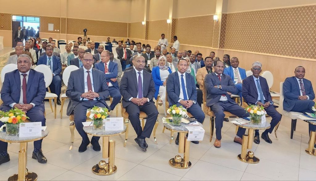 Rakkoolee biyya keessa furmaata biyya keessaan furuuf sochiin eegalame ...