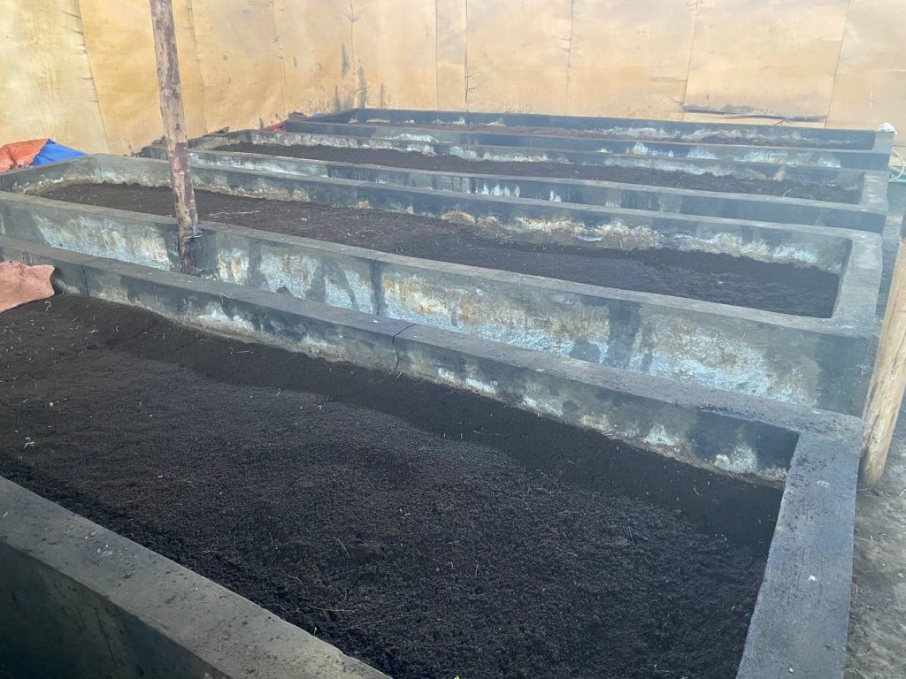 Xaa’oo uumamaa biyyoo gabbisuu fi oomisha olaanaa kennuu danda’u ...