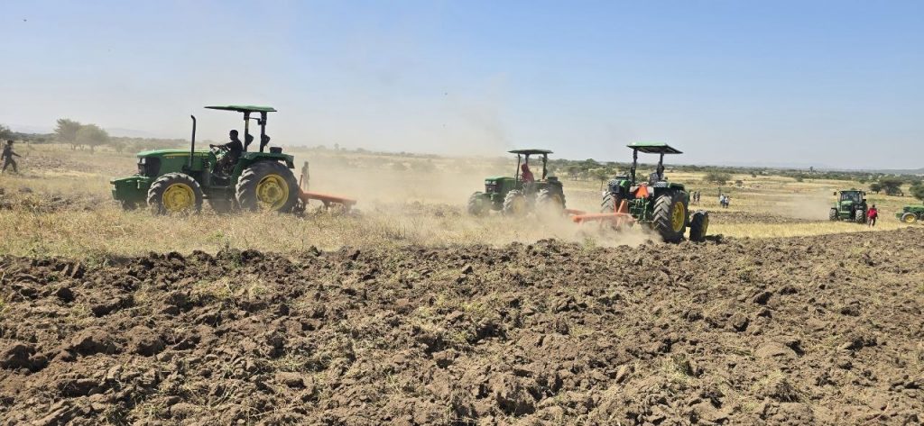 Godinichatti facaasaan Qamadii jallisii Bonee eegalame – Welcome to ...