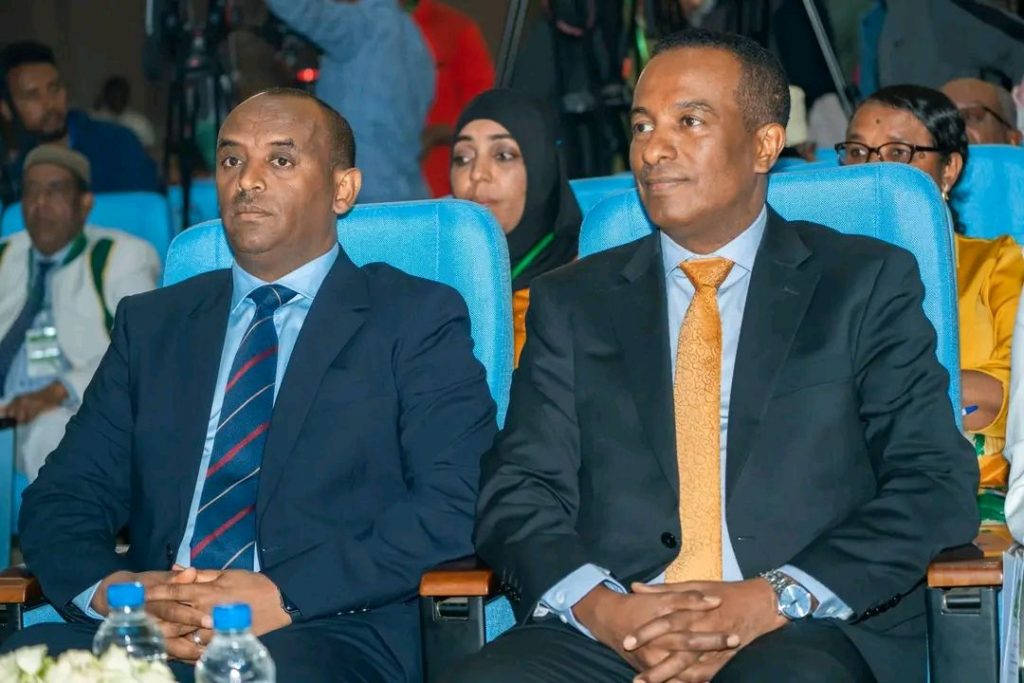 Seenessa waloo qabaachuun biyya waloo ijaaruu keessatti gahee olaanaa ...