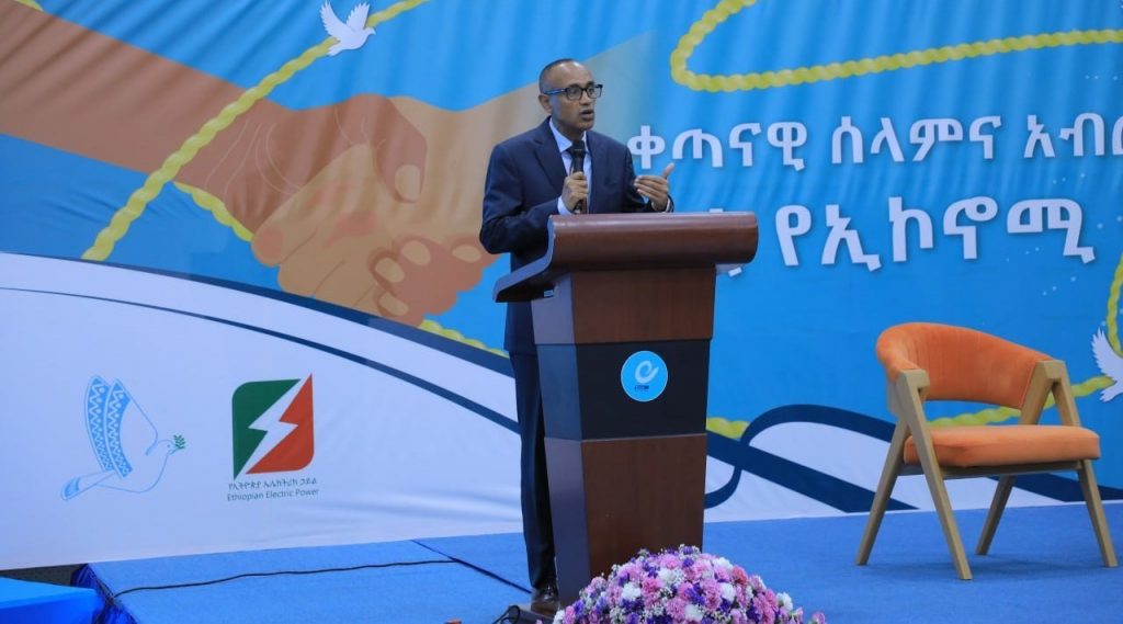 Ethiopia’s efforts to ensure sustainable regional peace, development ...