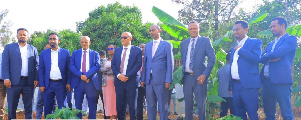 Deputy PM lauds Gorgora Project, Abay Bridge as driving force for ...