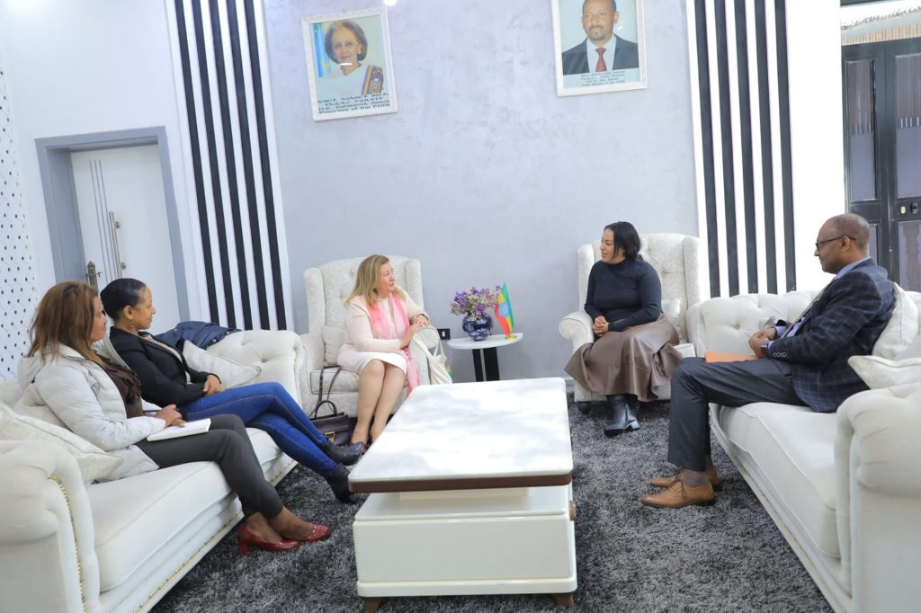 UNIDO reaffirms commitment to strengthening collaboration with Ethiopia ...