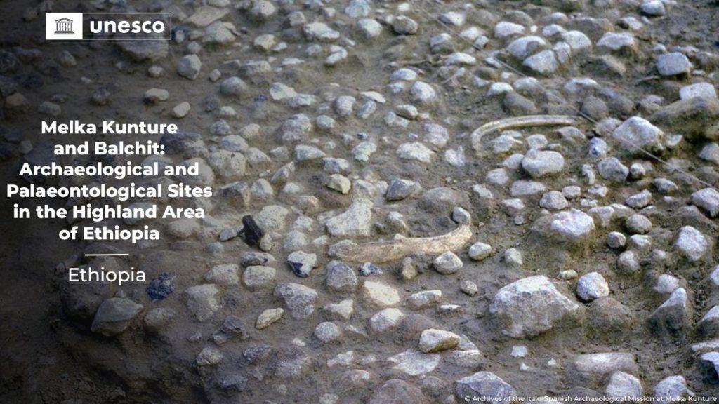 Melka Kunture and Balchit Archaeological and Paleontological site ...