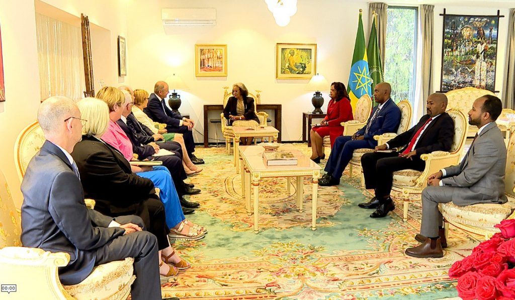 President Sahle-Work meets with Ireland’s DPM/FM & Defense Minister ...