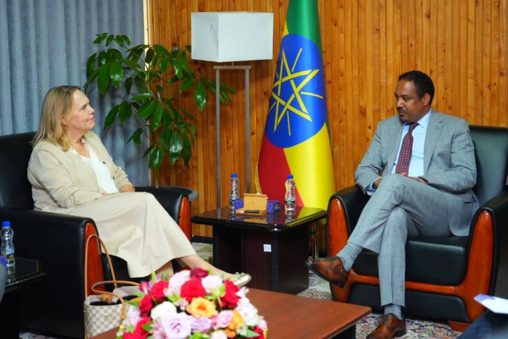 MoFA State Minister Ambassador Mesganu receives new EU Ambassador to ...