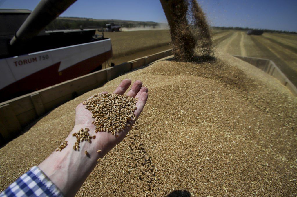 Russia to triple grain and fertilizer exports to Nigeria over the next ...