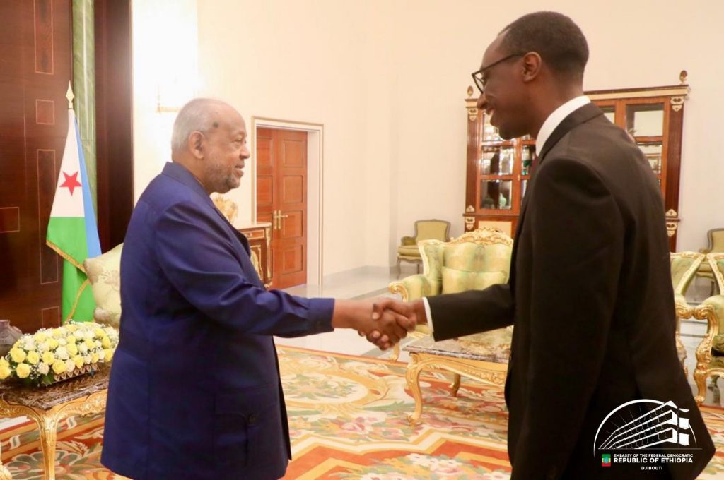 FM Gedion Timothewos confers with Djibouti President Ismail Omar ...