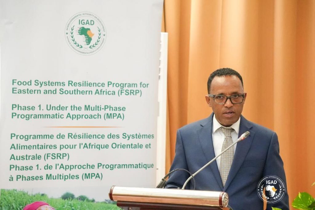 IGAD envoy underscores digital innovation as key to food system ...