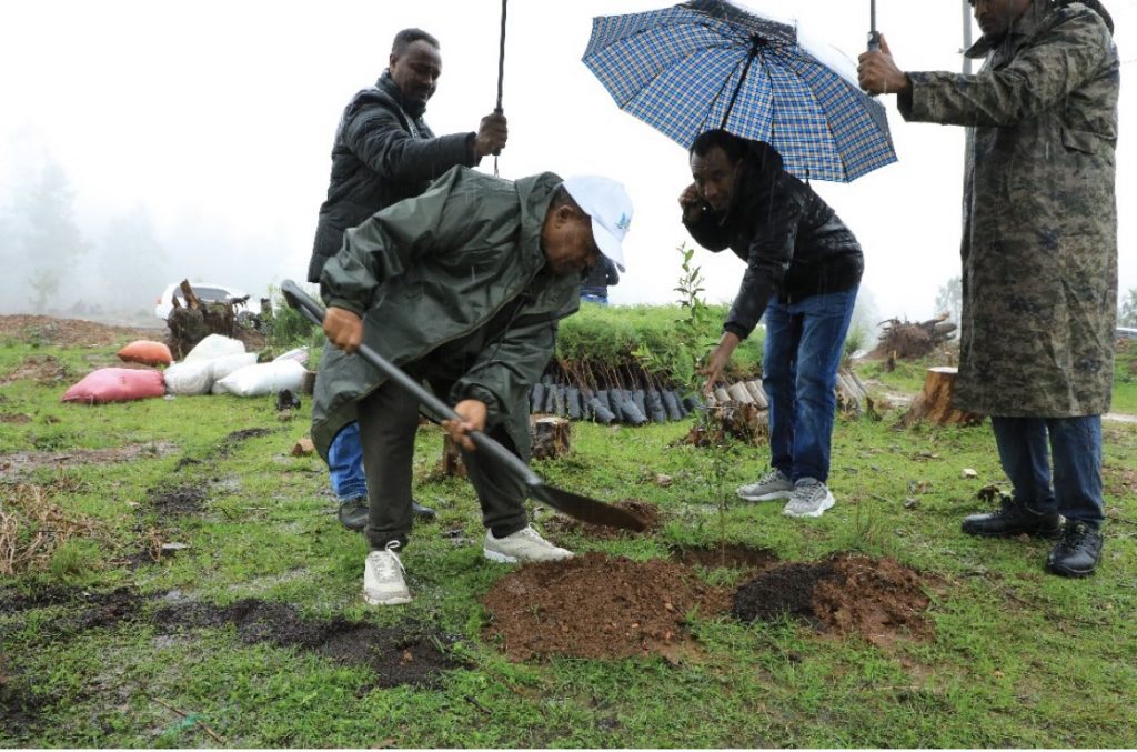 Prez.Taye plants saplings at Chaka Project – Welcome to Fana Media ...