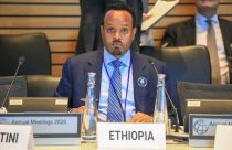 Five Million Ethiopian Coders Initiative is pivotal to attract more ...