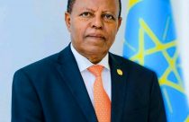 Ethiopia plants 5.5 billion seedlings toward 7.5 billion target in 2025 ...