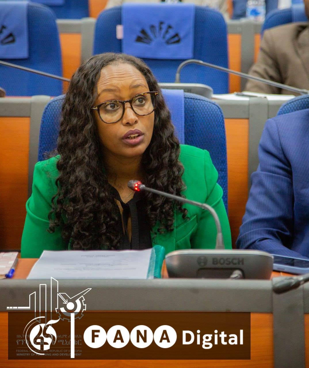 የ2ኛው የመካከለኛ ዘመን የልማትና ኢንቨስትመንት ዕቅድን ለማዳበር ያለመ ግምገማ ተካሄደ - Welcome to ...